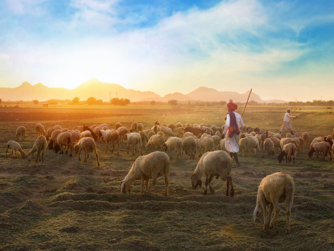 Why Moses wanted Hobab to stay - Cabiojinia
